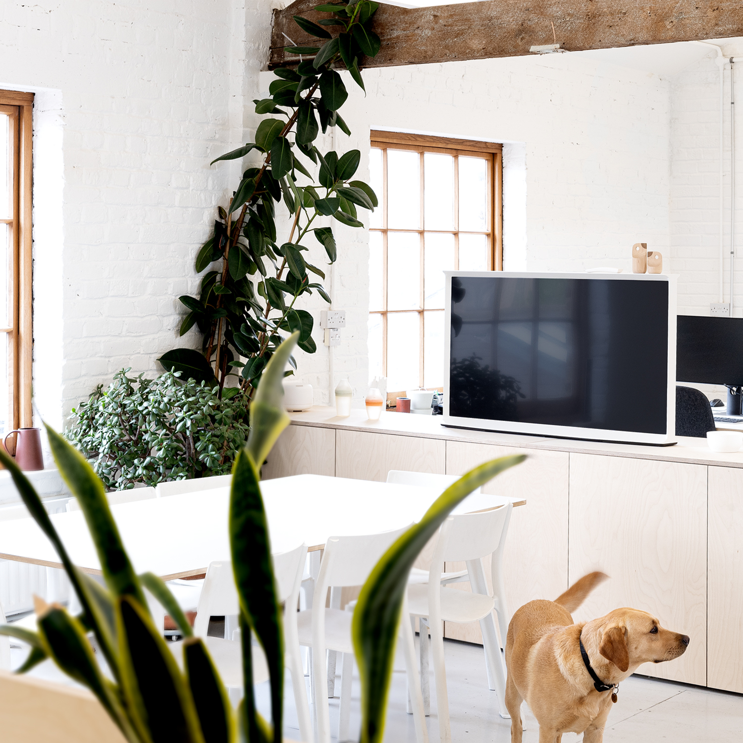 Blond - Design Burger